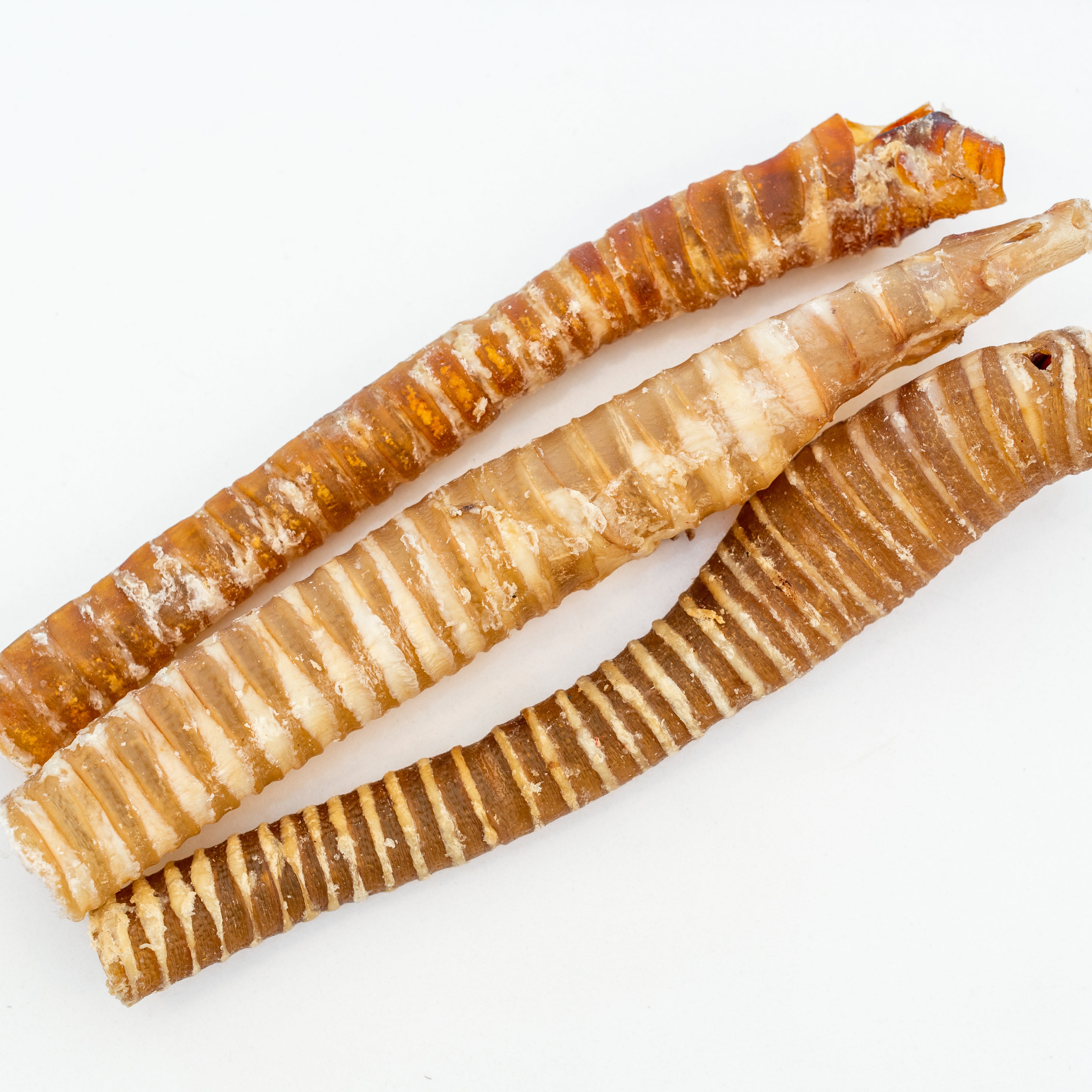 Beef Trachea – Natural Hounds